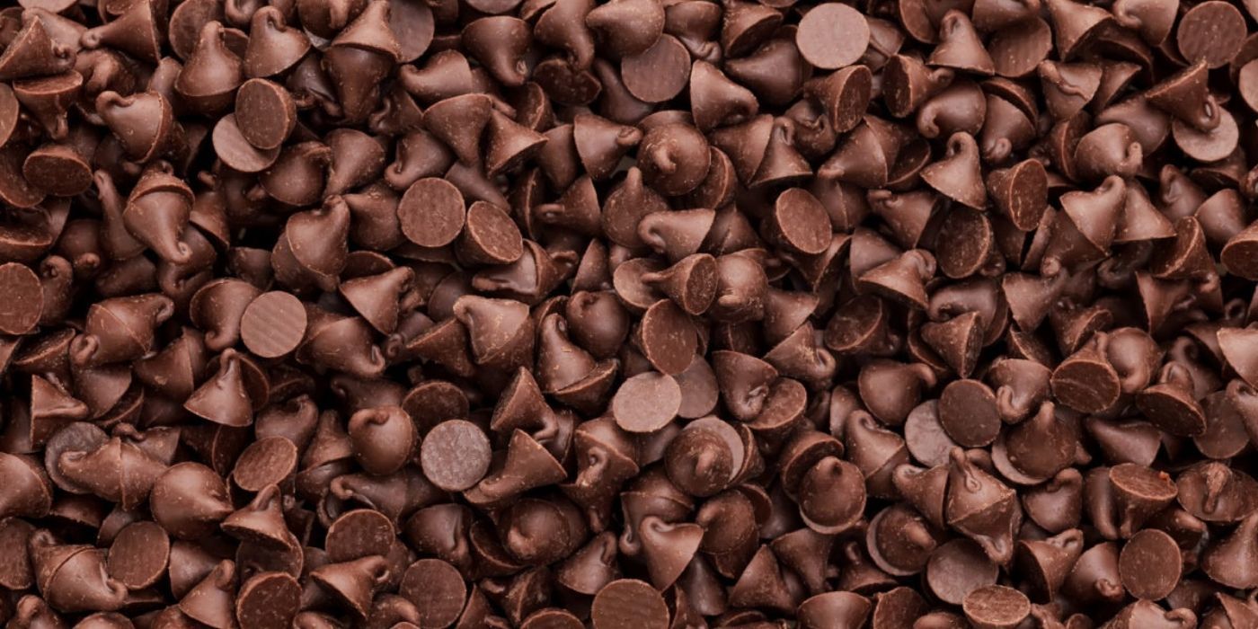 5 tasty ways to enjoy our Sugar-Free Choc Chips | PBCo.